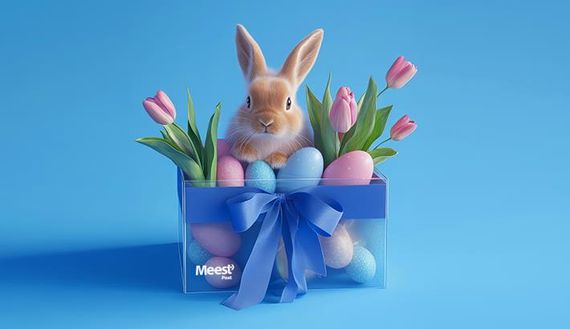 Effiziente Paketzustellung. Meest Post - Ihr Postdienstleister.